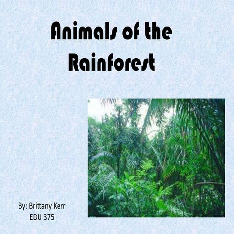 Tropical Rainforest | PPT