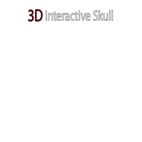 Interactive 3D Skull | PPT