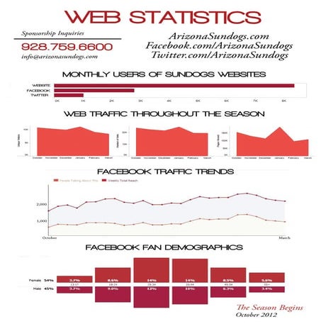 Web Statistics | PDF | Internet | Computing