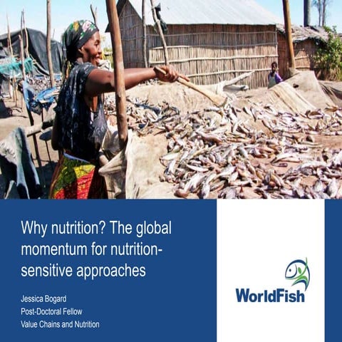 Why nutrition? The global momentum for nutrition-sensitive approaches | PPT