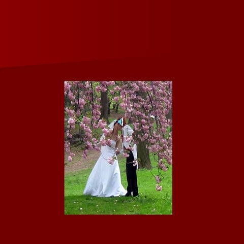 Wedding | PPT
