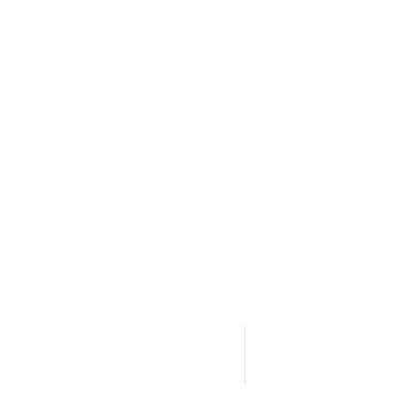 Wedemeyer | PPT