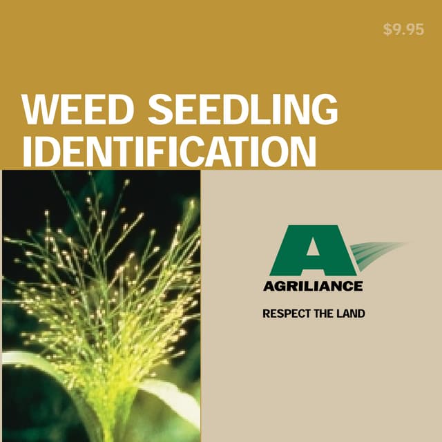 Weed Id | PDF