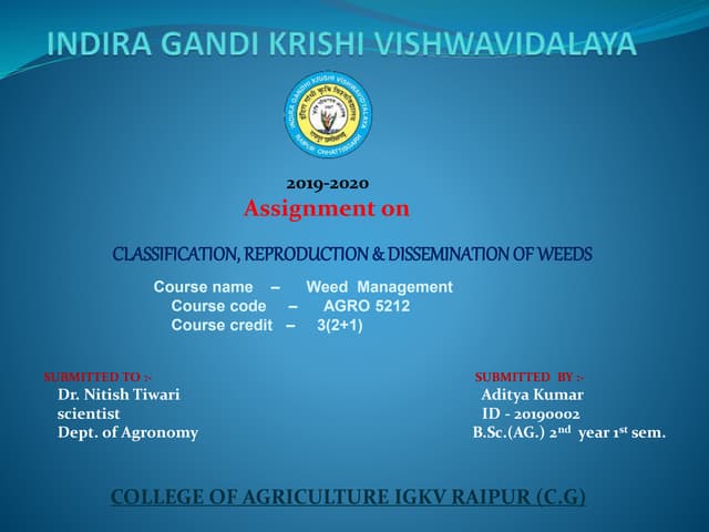 INTERCROPPING .pptx | Agriculture | Industries