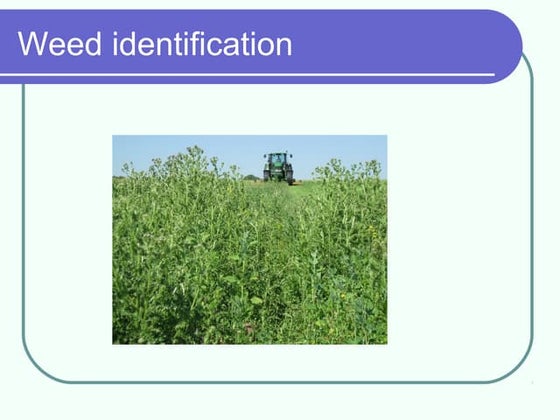 Safety on the farm | PPTX | Death, Injury, or Military Conflict ...