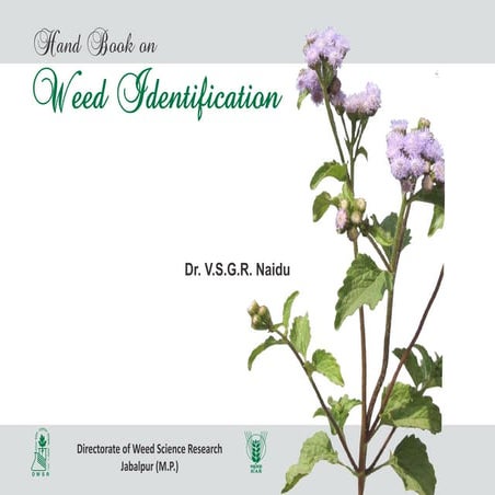 Weed Identification_111230222_085811.pdf