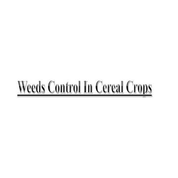 Weed management in cereal crops, Weeds Control | PPTX
