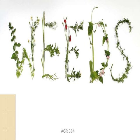 IPM:- Integrated Pest Management | PPTX