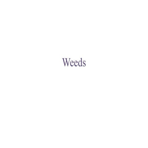 Avenue planting - Definition, function and types | PPTX