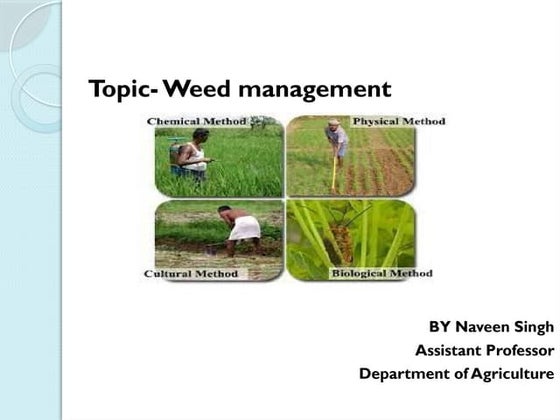 Classification of weeds | DOCX