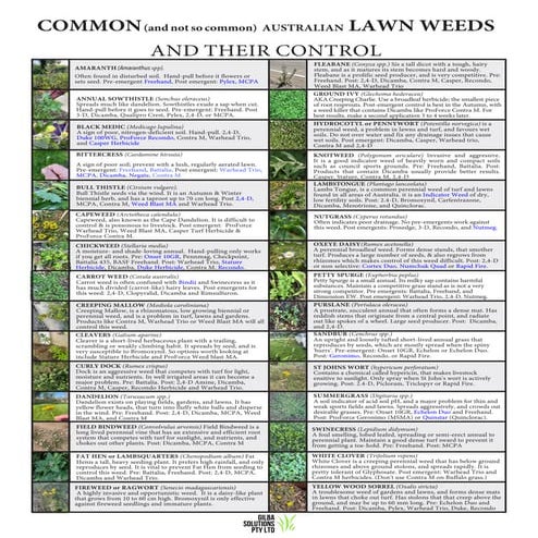 Common Lawn Weed Identification Chart The Only Weed Identification