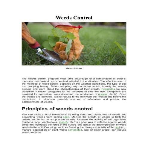 Practice weeding and cultivation | PPTX