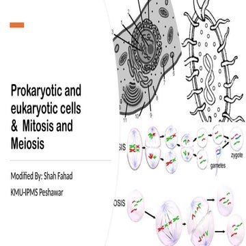 Week-04 Prokaryotic and Eukaryotic cells & Cell division. by Shah Fahad ...