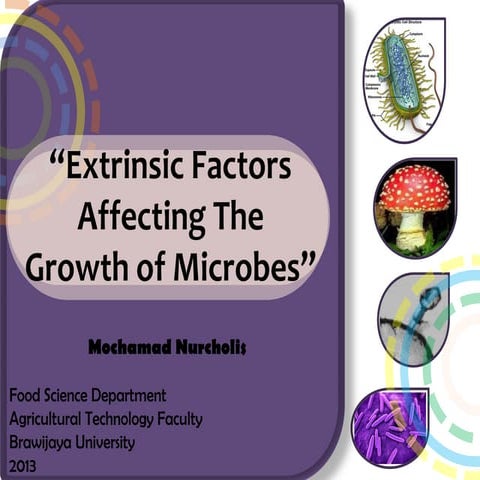 Week-10_Extrinsic-Factor-Affecting-Microbes.pdf