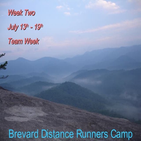 Week 2 Teams 2008 | PPT