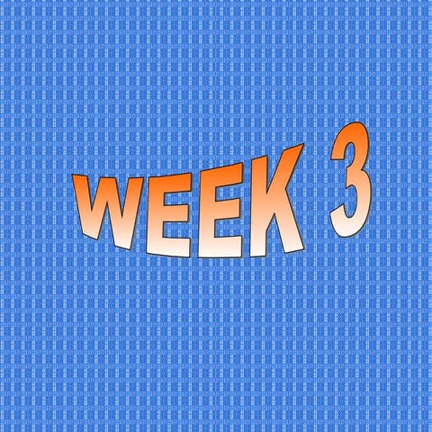 WEEK 3 | PPT