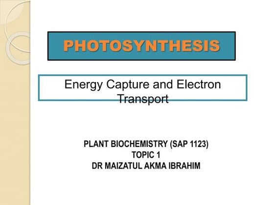 Light reaction of photosynthesis | PPTX | Chemistry | Science