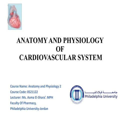 Week 1-5 Anatomy and Physiology of Cardiovascular system_ pdf | PDF