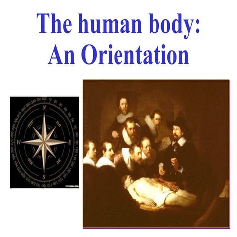 Basic Anatomy Introduction and Tissues - Slides.pdf