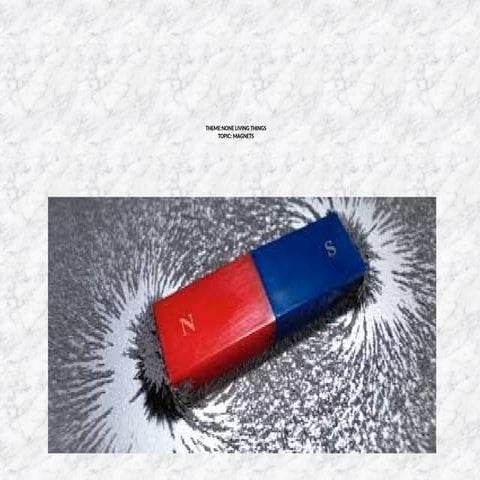 WEEK 10-MAGNETS and magnetization (autumn).pptx