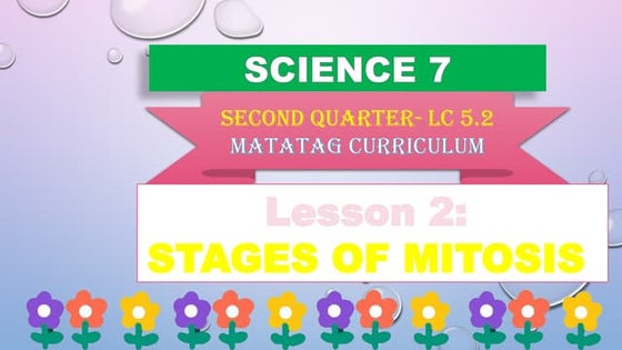 Lesson in science mitosis | PDF