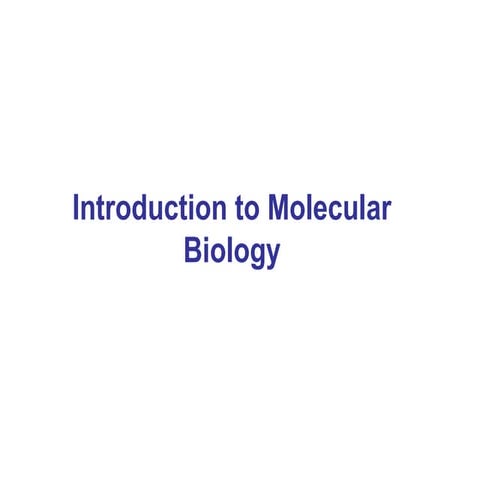 the cell | PPT