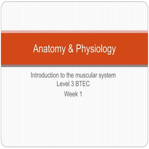 Week 13 muscular system week 1 btec | PPTX