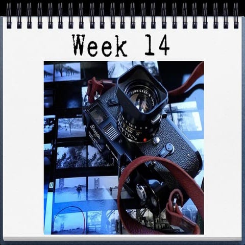 Week 13 | PPT