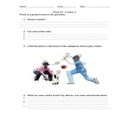 Week 15 cricket worksheet a | PDF