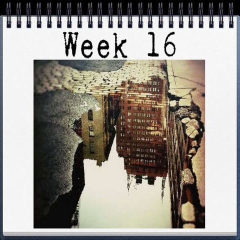 Week 16 | PPTX