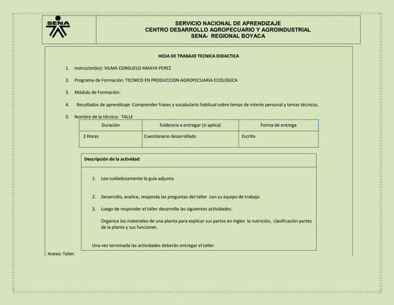 plants needs and plants parts chapter3.grade 3 | PPTX