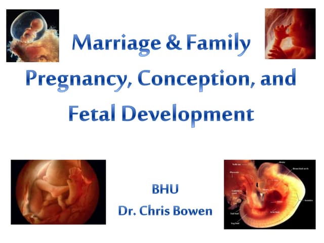 Stages of fetal growth and development | PPTX