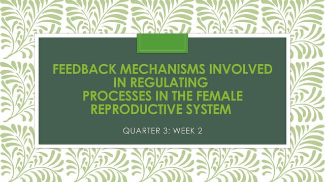 Menstrual Cycle | Hormonal Regulation | PPTX