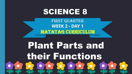 Science 3 parts and function of the plants | DOCX