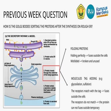 WEEK 2 - BIOREACTION.pptx interaksi ion dan molekul dalam sel | PPTX