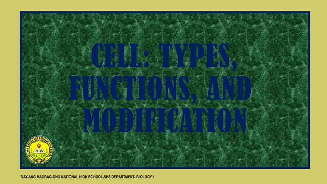 Lesson 4 Cell Modifications | PDF
