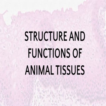 Anatomy and physiology of human tissues.pptx