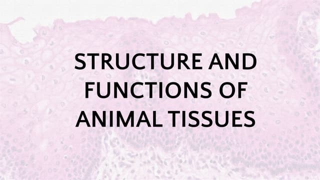 Anatomy and physiology of human tissues.pptx