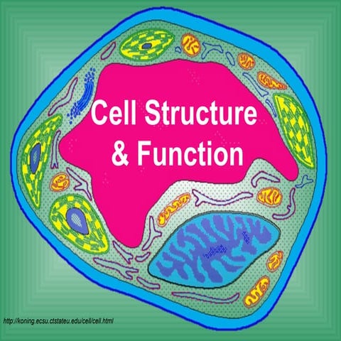 Cell structure function[1] | PPT