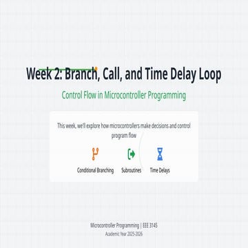 Week 2_ Branch, Call, and Time Delay Loop.pptx