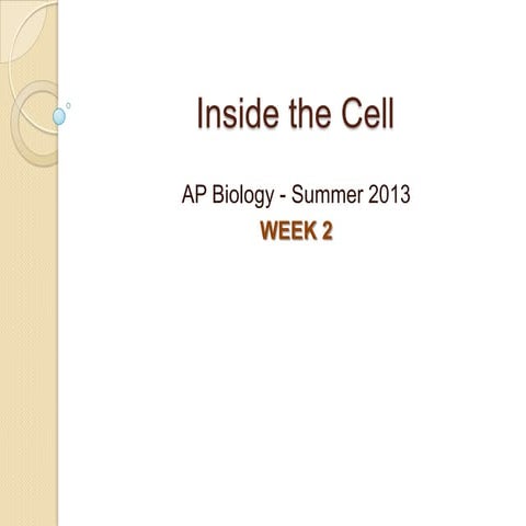 AP Biology - Week 2 Cells and Membranes | PPTX | Biological Sciences ...
