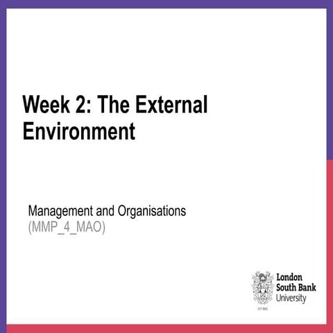 Week 2 Lecture - The External Environment.pptx