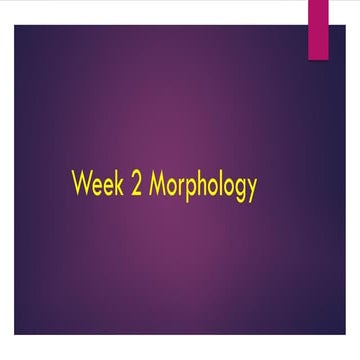 Week 2 morphology copy | PPT