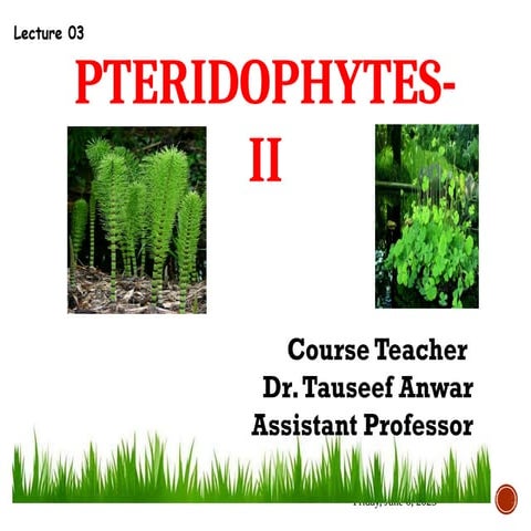 Structure, reproduction, life history and systematic position of ...