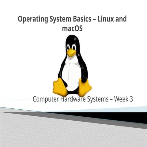 Lecture 3: Operating Systems Introduction to Computer Hardware Systems ...