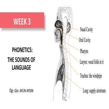 Phonetics | PPT