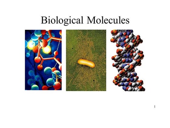 biological_molecules_proteins_lipids.ppt