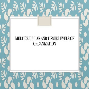 Multicellular and Tissue levels of organization | PPTX
