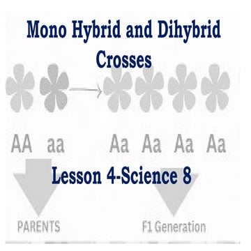 WEEK 4-MONO HYBRID AND DIHYBRID CROSS OF GREGOR MENDEL | PPTX