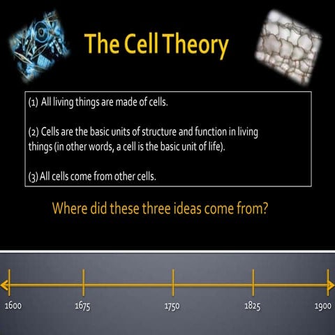Cell Theory | PPTX | Biological Sciences | Science